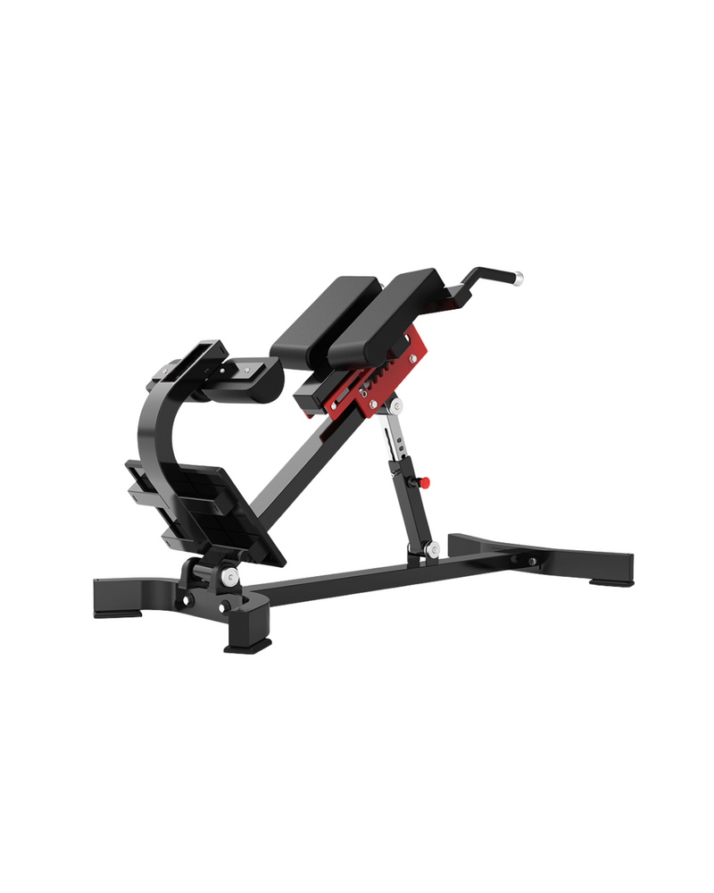 Hyperextension & Roman Chairs | Lower Back & Glute Strength | Fitness Hero